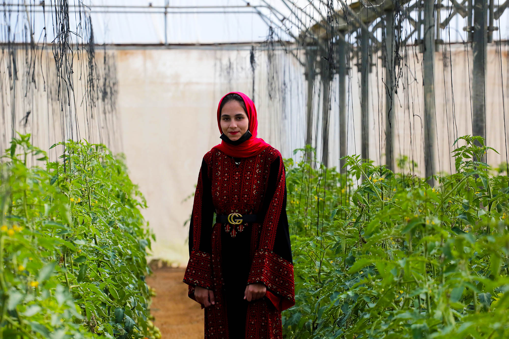 Palestinian Culture - Anera