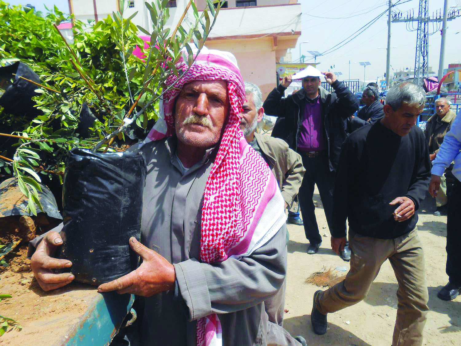 Combating Food Insecurity in Gaza and Lebanon - Anera