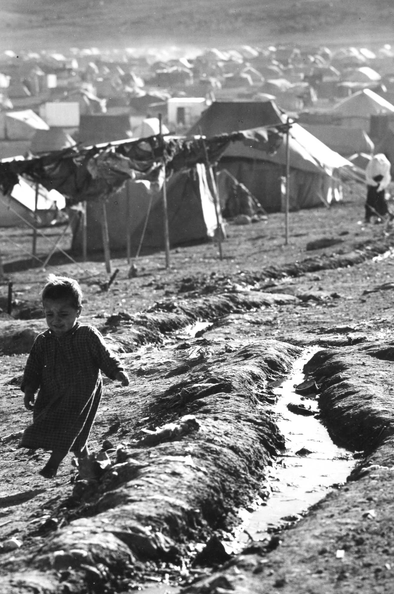 Serving Palestinian Communities for 55 Years - Anera