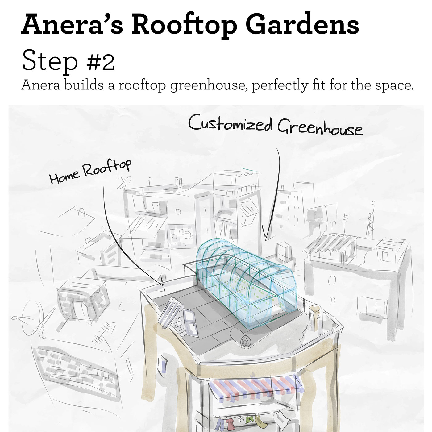 A Look at Our Rooftop Garden Project That Combats Food Insecurity - Anera