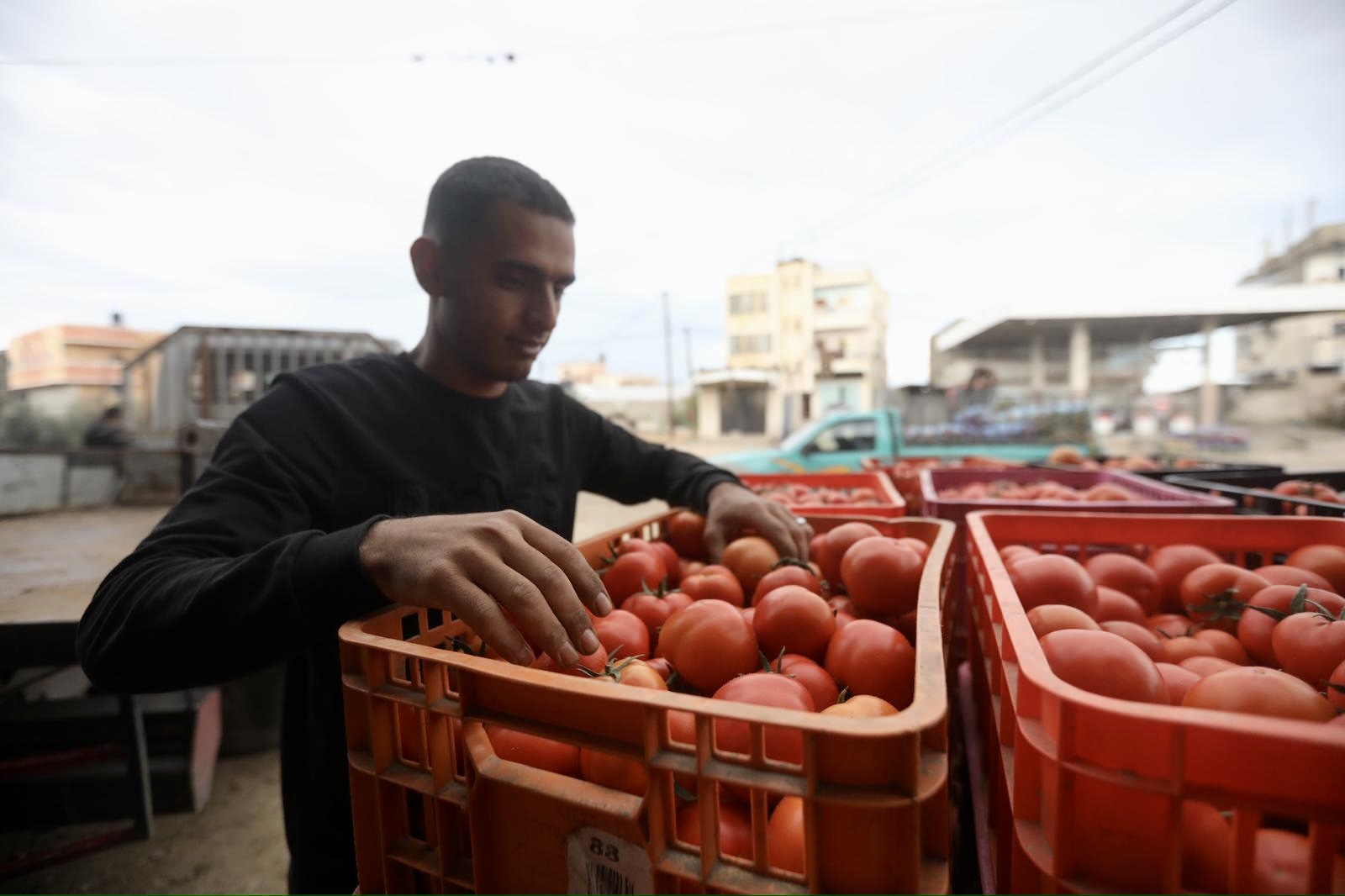 Overview of Anera's Response in Gaza (Video) - Anera
