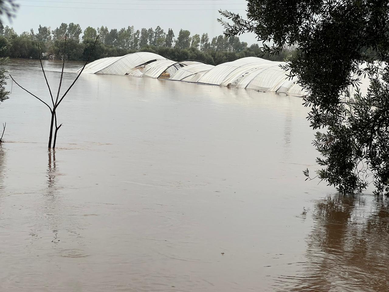Supporting Flood Victims in Northern Lebanon with Essential Food ...
