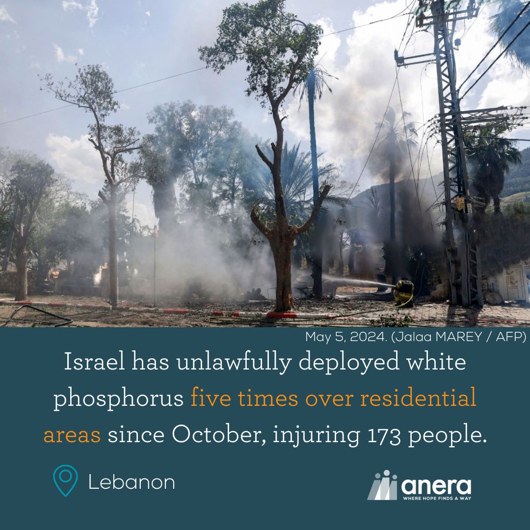 Lebanon Situation Report | July 2024 - Anera