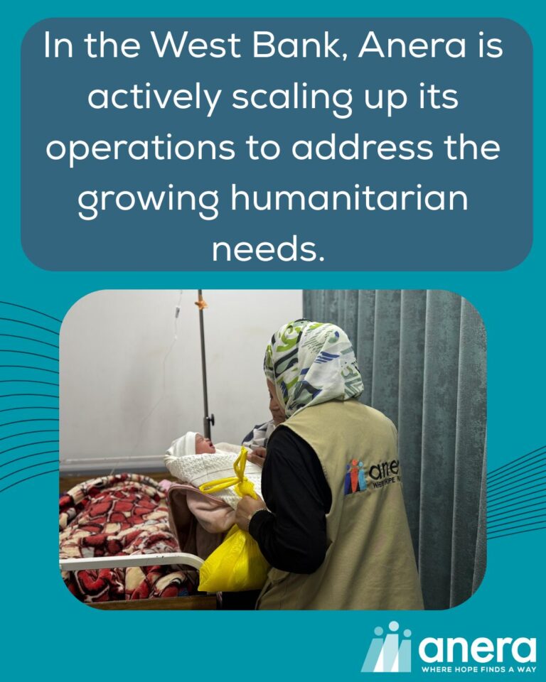 Palestine Situation Report | June 2025 - Anera